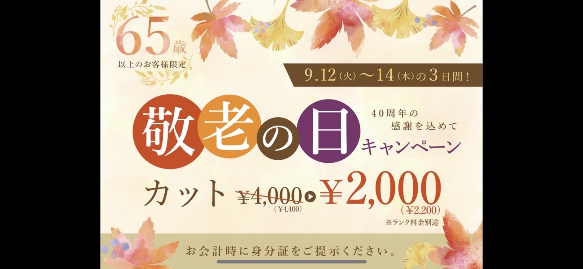 40周年記念 | KAINO－カイノ－【公式サイト】