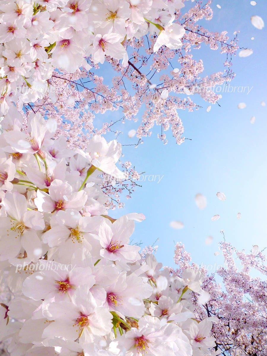 春のご提案🌷 | KAINO－カイノ－【公式サイト】